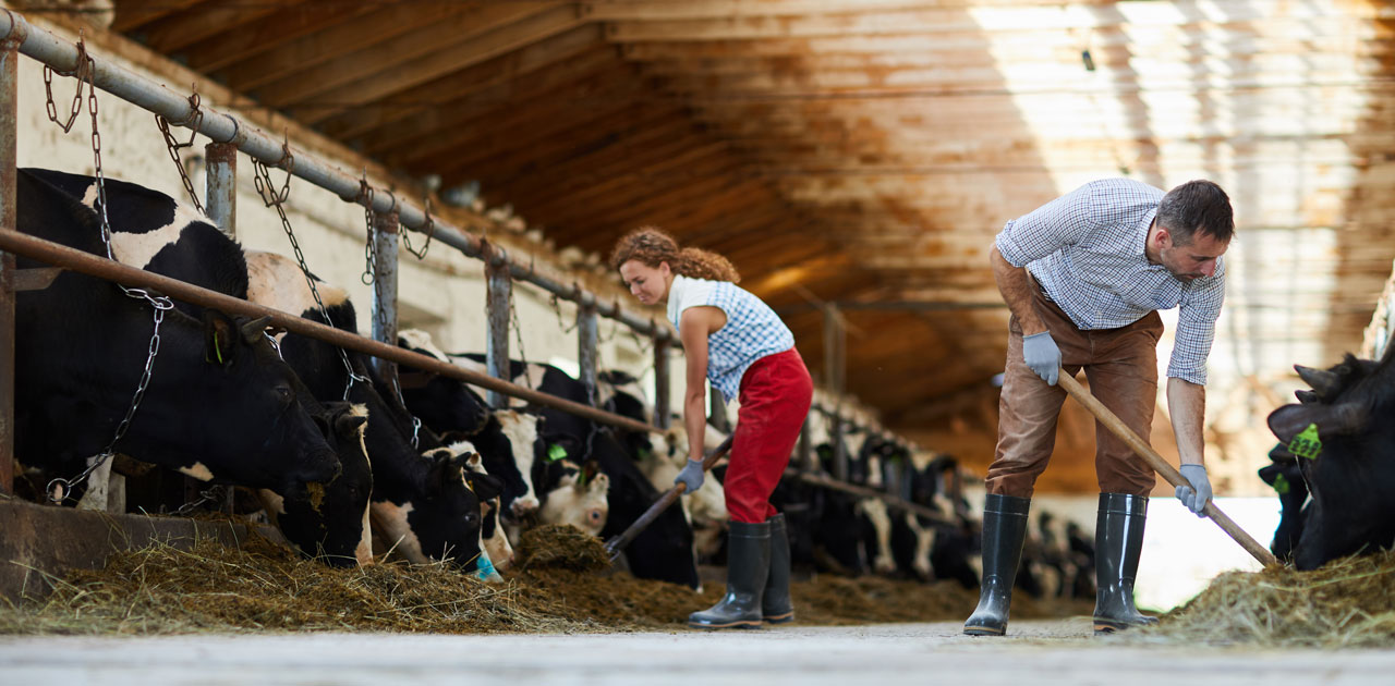 Celebrate Contributions of Wisconsin Farmers on National Farmers Day ...