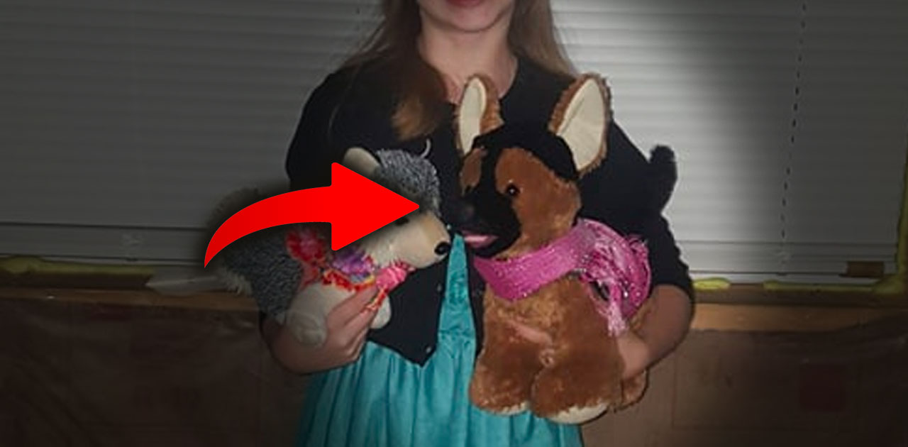 Girl Seeks Help Finding Missing Stuffed Animal - OnFocus