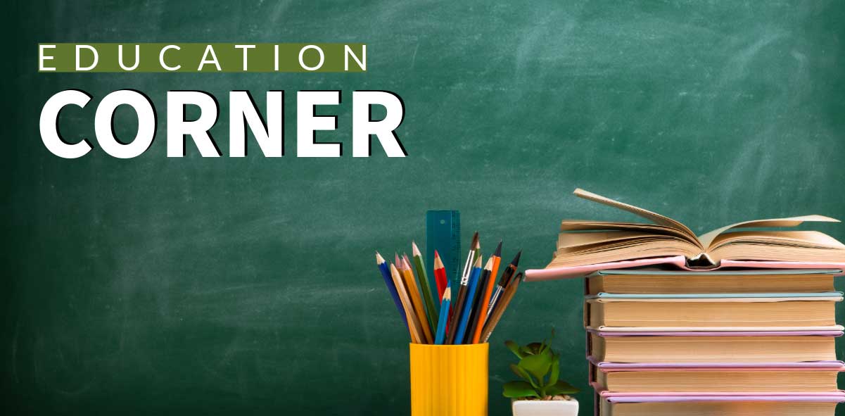 States with the Highest Level of Education in America Revealed - OnFocus