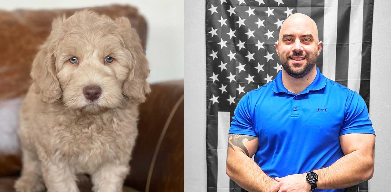 Marshfield Police Department Introduces Reggie the Therapy Dog - OnFocus