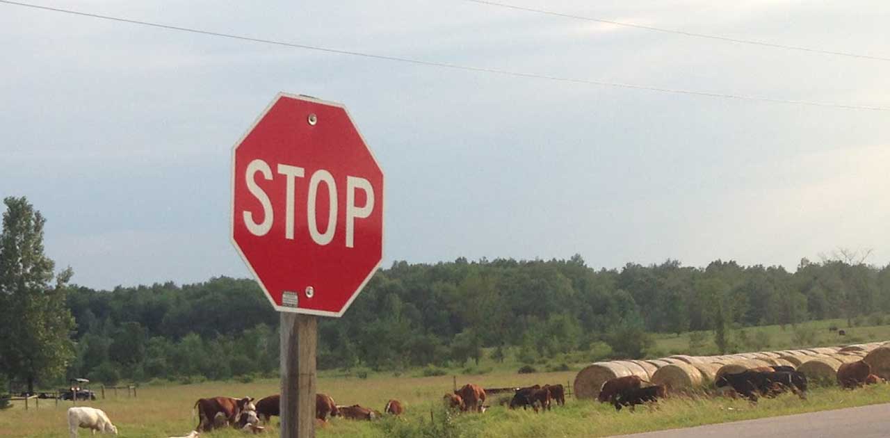 Information Sought on Stolen Stop Signs South of Marshfield - OnFocus