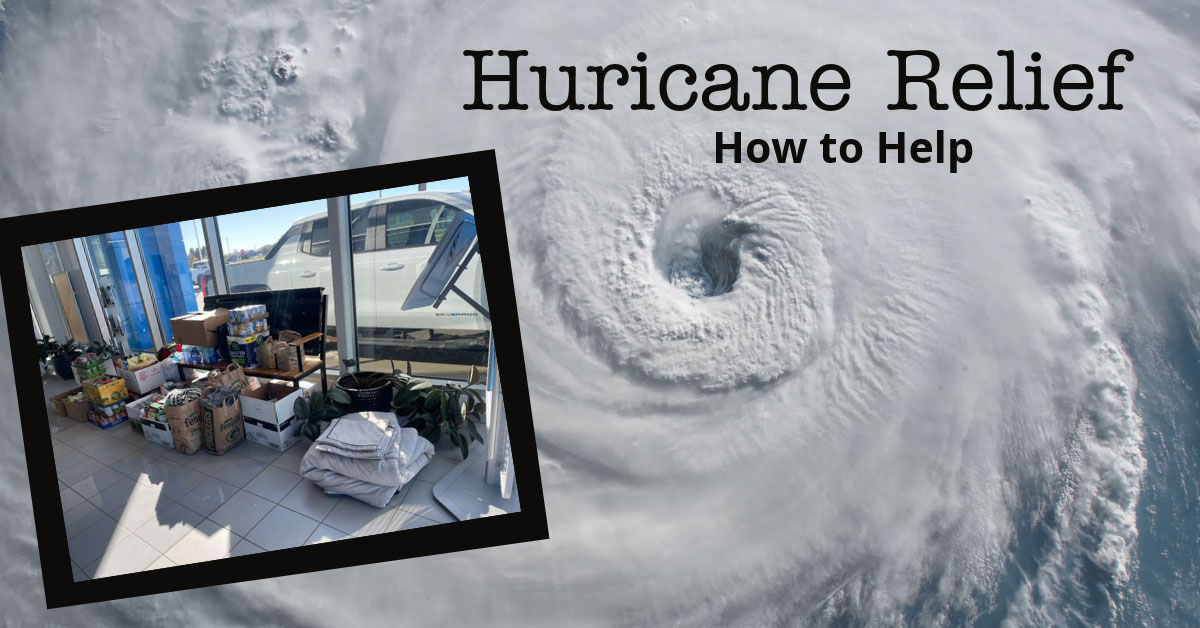 Local Businesses Join Hurricane Relief Efforts - OnFocus