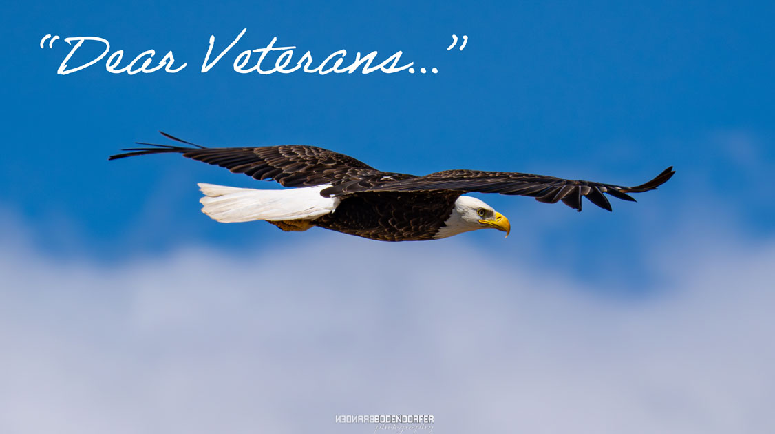 Thank You, Veterans: A Simple Message Goes a Long Way - OnFocus