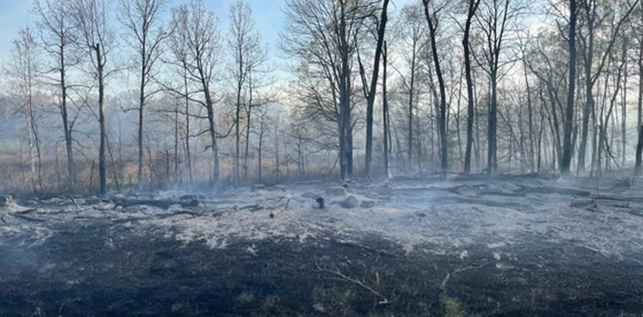 80-Acre Wildfire In Juneau County Now Controlled: Homeowners Safe To ...
