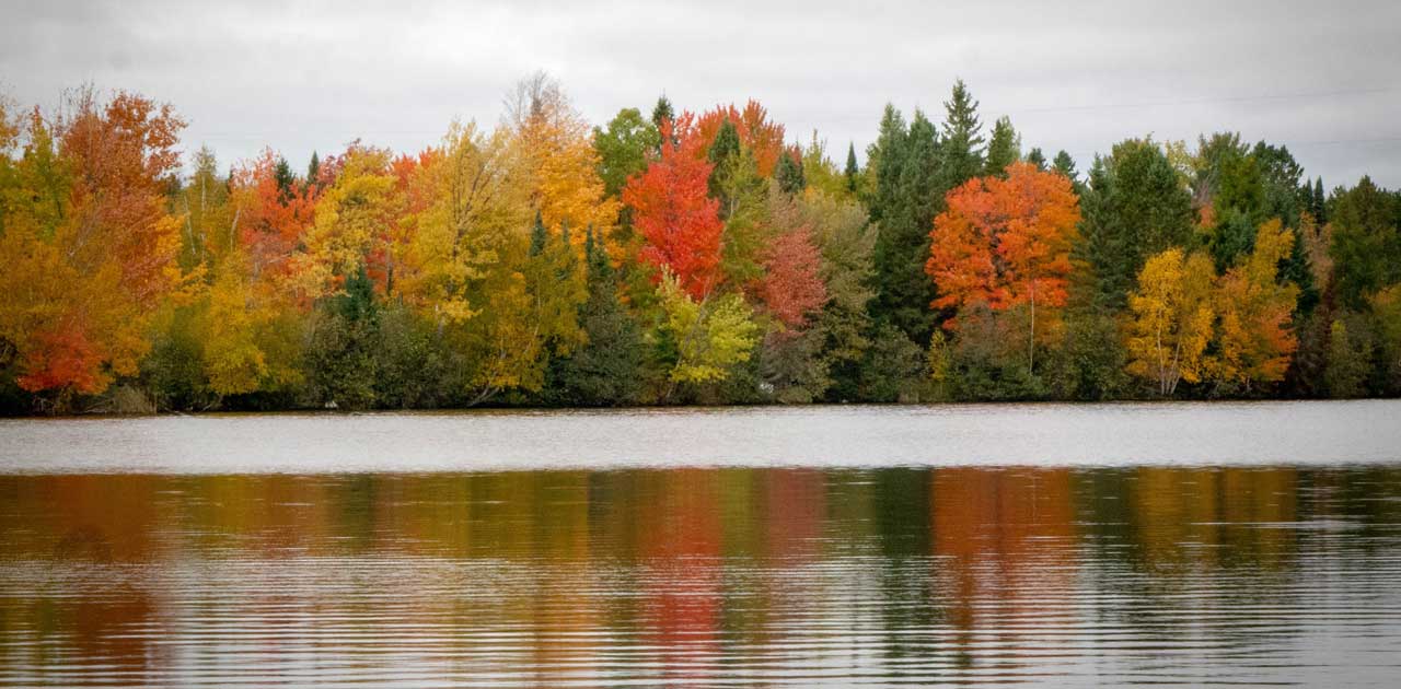 When and Where to See Fall Color in Wisconsin 2025 - OnFocus